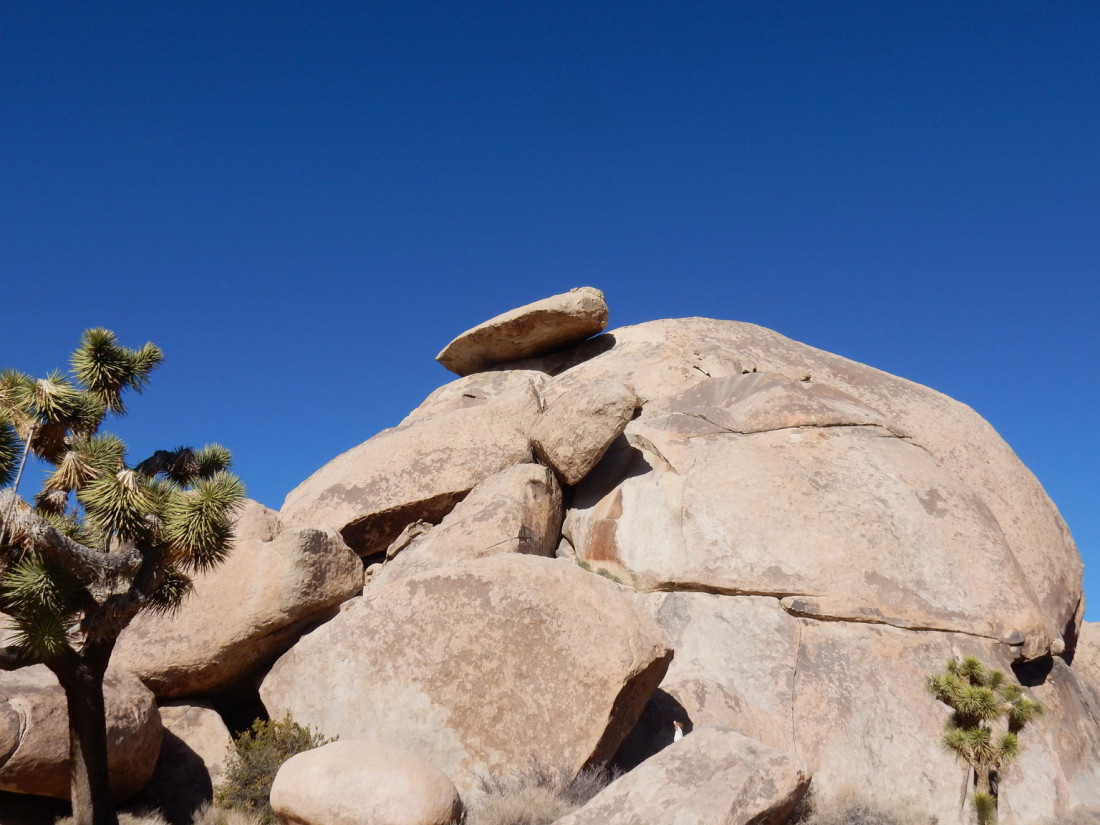 Revisiting Joshua Tree National Park – The Adventures of Trail & Hitch
