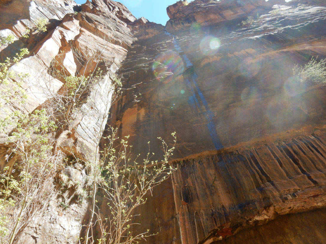 Zion National Park: Riverwalk Trail – The Adventures of Trail & Hitch