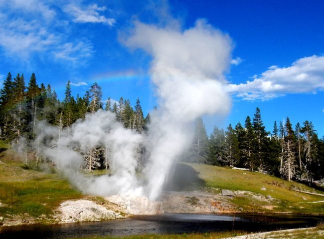 Yellowstone: Upper Geyser Basin – The Adventures of Trail & Hitch