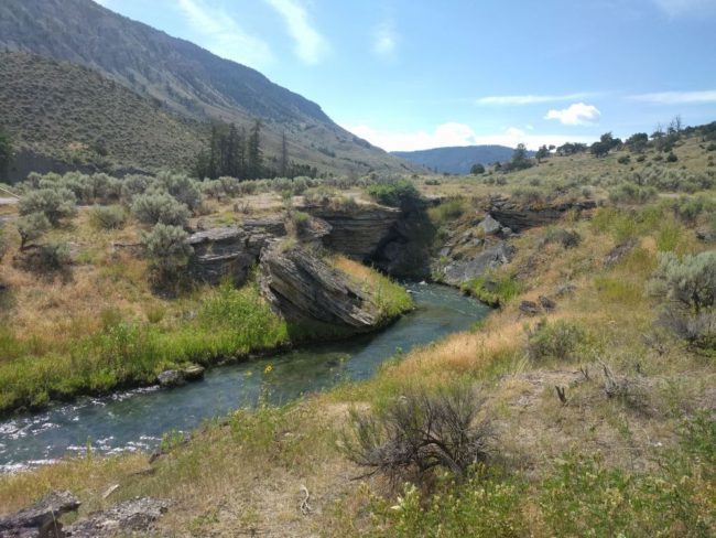 First Day at Yellowstone – The Adventures of Trail & Hitch