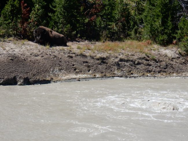 Canyon District in Yellowstone National Park – The Adventures of Trail ...