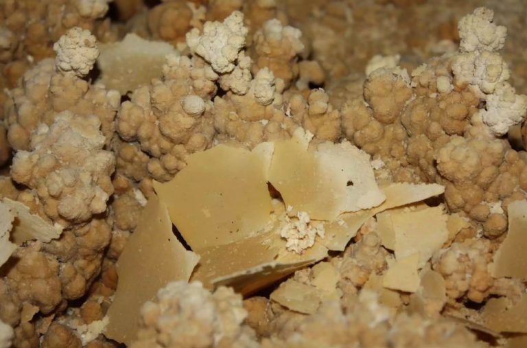 Wind Cave National Park – The Adventures of Trail & Hitch