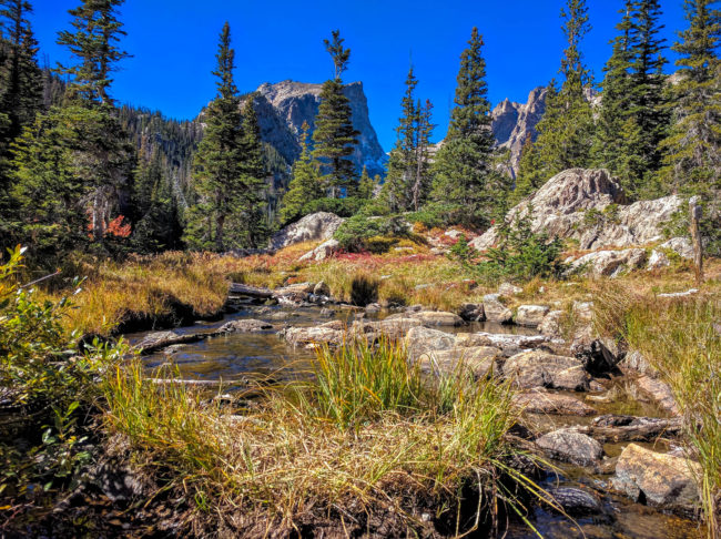 Rocky Mountain: Bear Lake Corridor Hike – The Adventures of Trail & Hitch