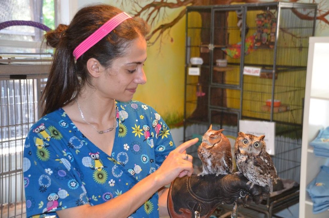 The Aware Wildlife Center in Atlanta Georgia – The Adventures of Trail ...