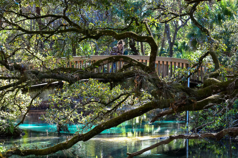 Juniper Springs in Ocala National Forest – The Adventures of Trail & Hitch