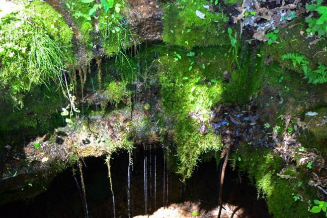 Abraham Lincoln Birthplace National Historical Park – The Adventures of ...