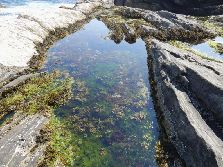 Quiet Side of Acadia National Park – The Adventures of Trail & Hitch