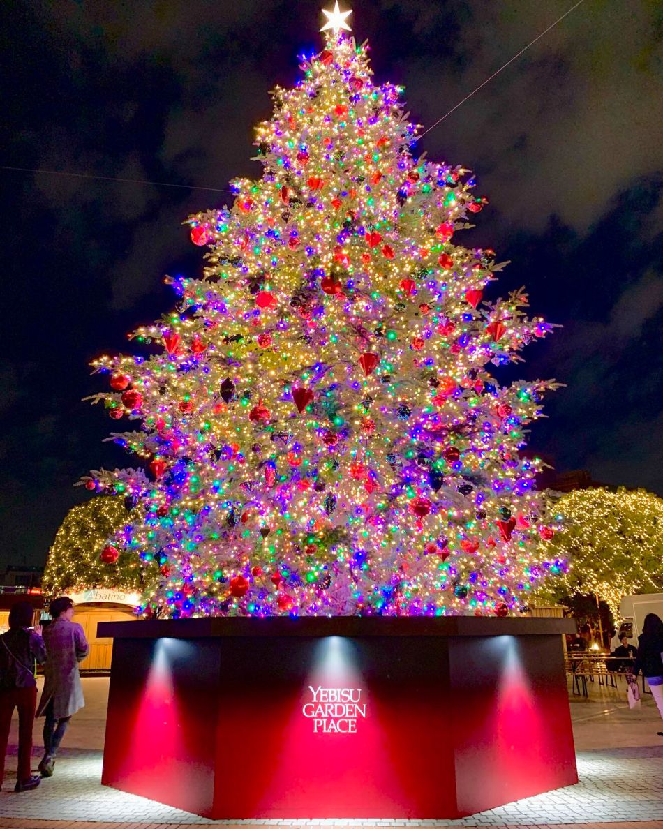 Yebisu Garden Place Winter Illumination – The Adventures of Trail & Hitch